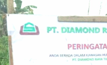 PT Diamond Raya Timber Jelaskan Izin IUPHHK-HAnya